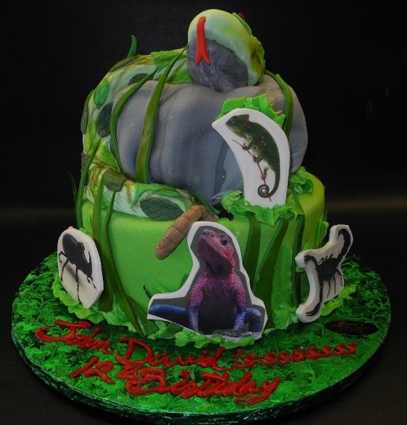 Reptile THeme Fondant Cake - B0388 – Circo's Pastry Shop